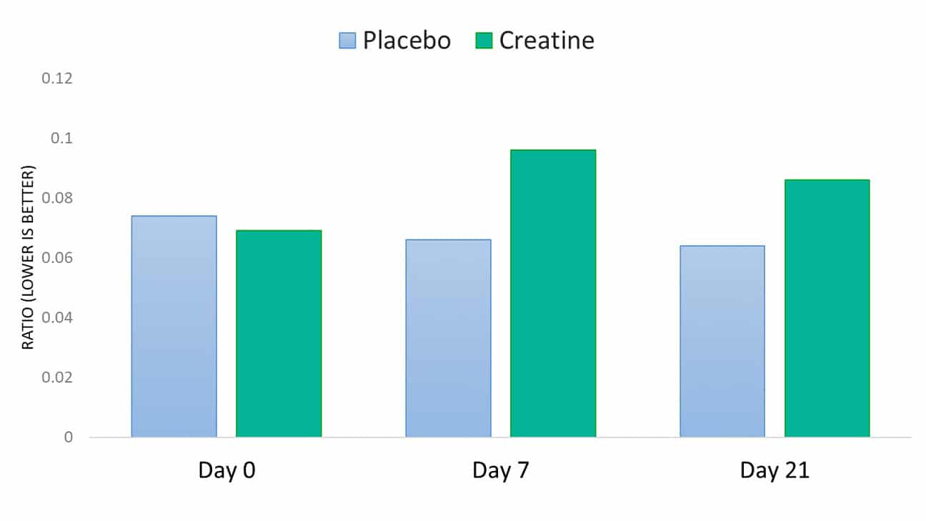 Creatine Causes Hair Loss. Truth or Myth? - Hairverse